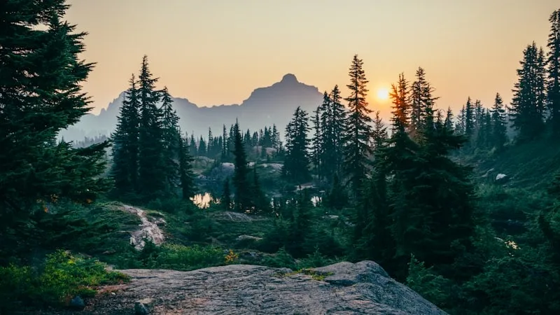 Vancouver's Best-Kept Secret Parks and Trails — BestAlternatives